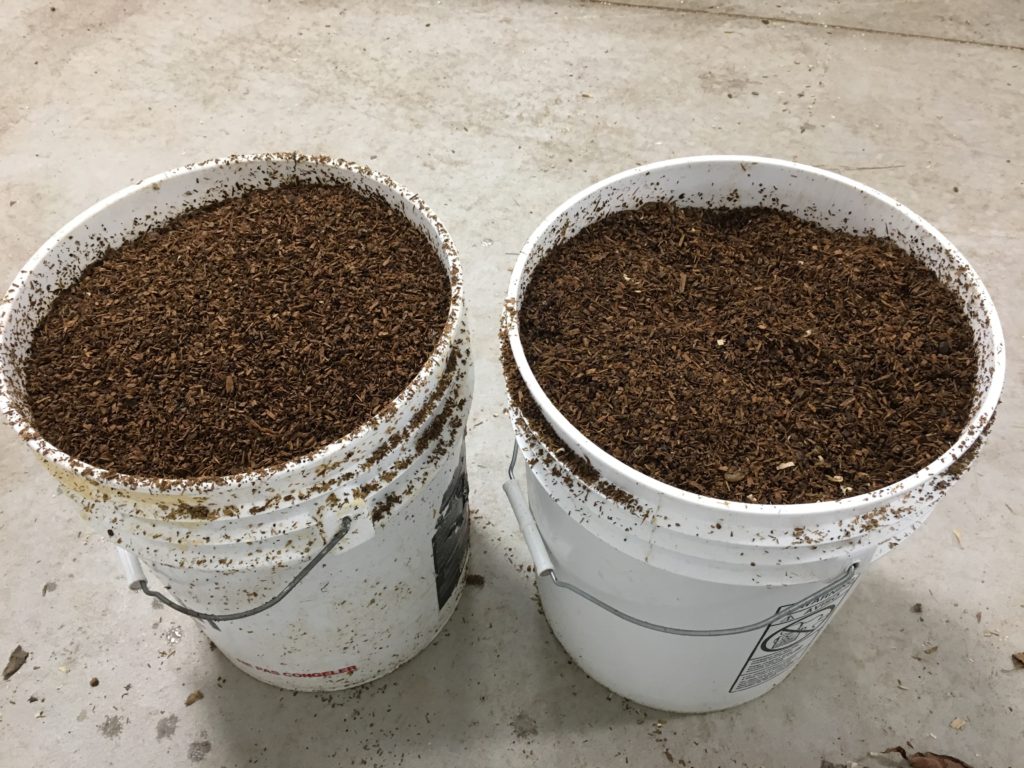 The Weekly BioDIGESTer (1/14) – S.C.R.A.P. lab